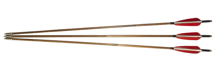 Finding the right arrows for your bow - Primal Archery Supplies