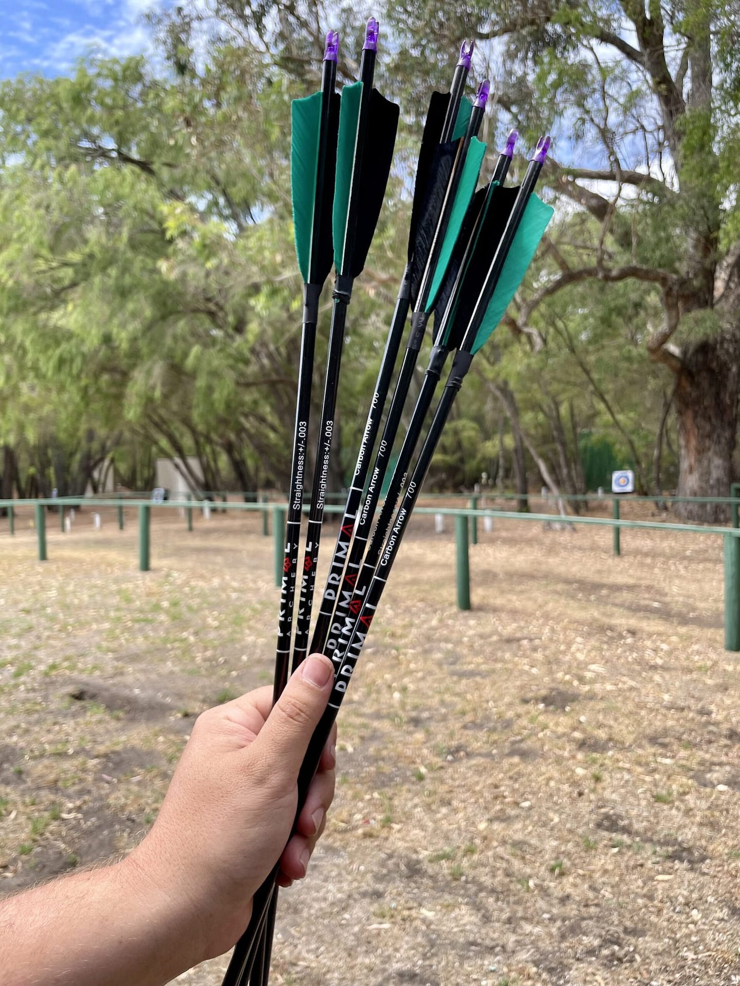 Traditional Arrows for Archery | Wood & Carbon - Primal Archery Supplies